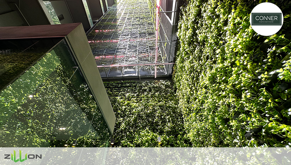 CONNER Ratchathewi - ZILLION INNOVATION