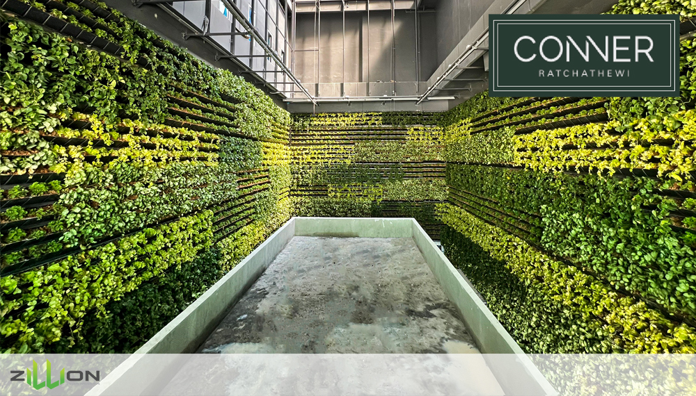 CONNER Ratchathewi - ZILLION INNOVATION