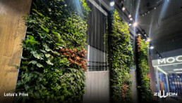 Lotus's Privé - ZILLION INNOVATION