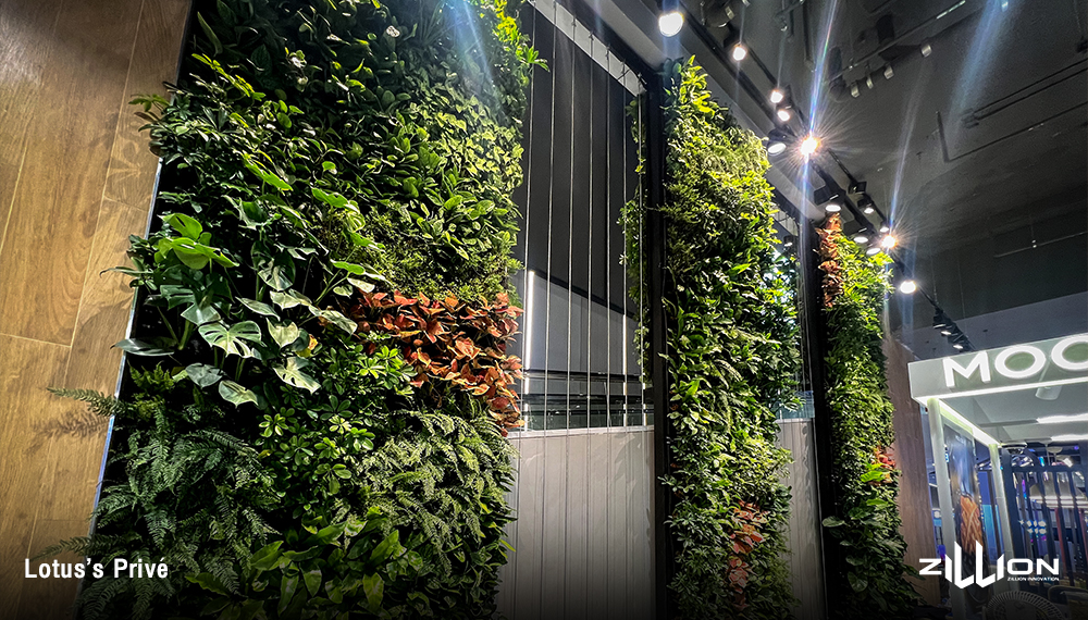 Lotus's Privé - ZILLION INNOVATION