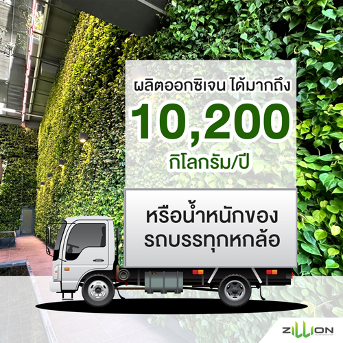 CONNER Ratchathewi สวนแนวตั้ง ที่ใหญ่ที่สุดในประเทศไทย - ZILLION INNOVATION