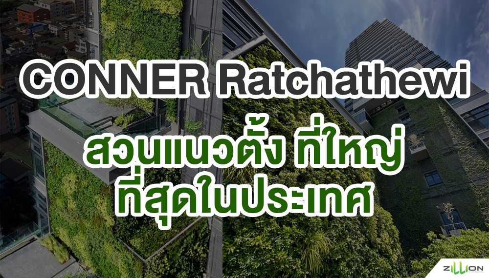 CONNER Ratchathewi สวนแนวตั้ง ที่ใหญ่ที่สุดในประเทศไทย - ZILLION INNOVATION